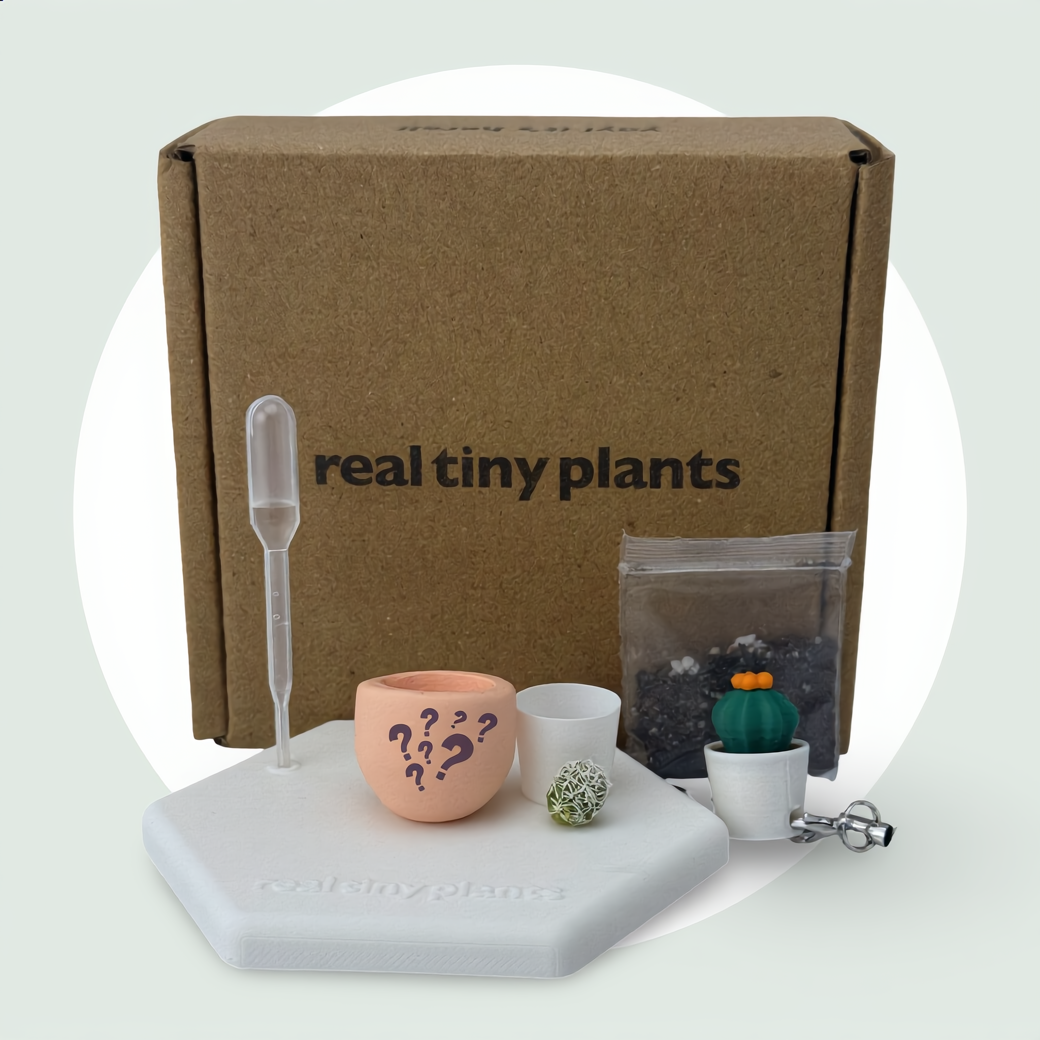 Collections – Real Tiny Plants
